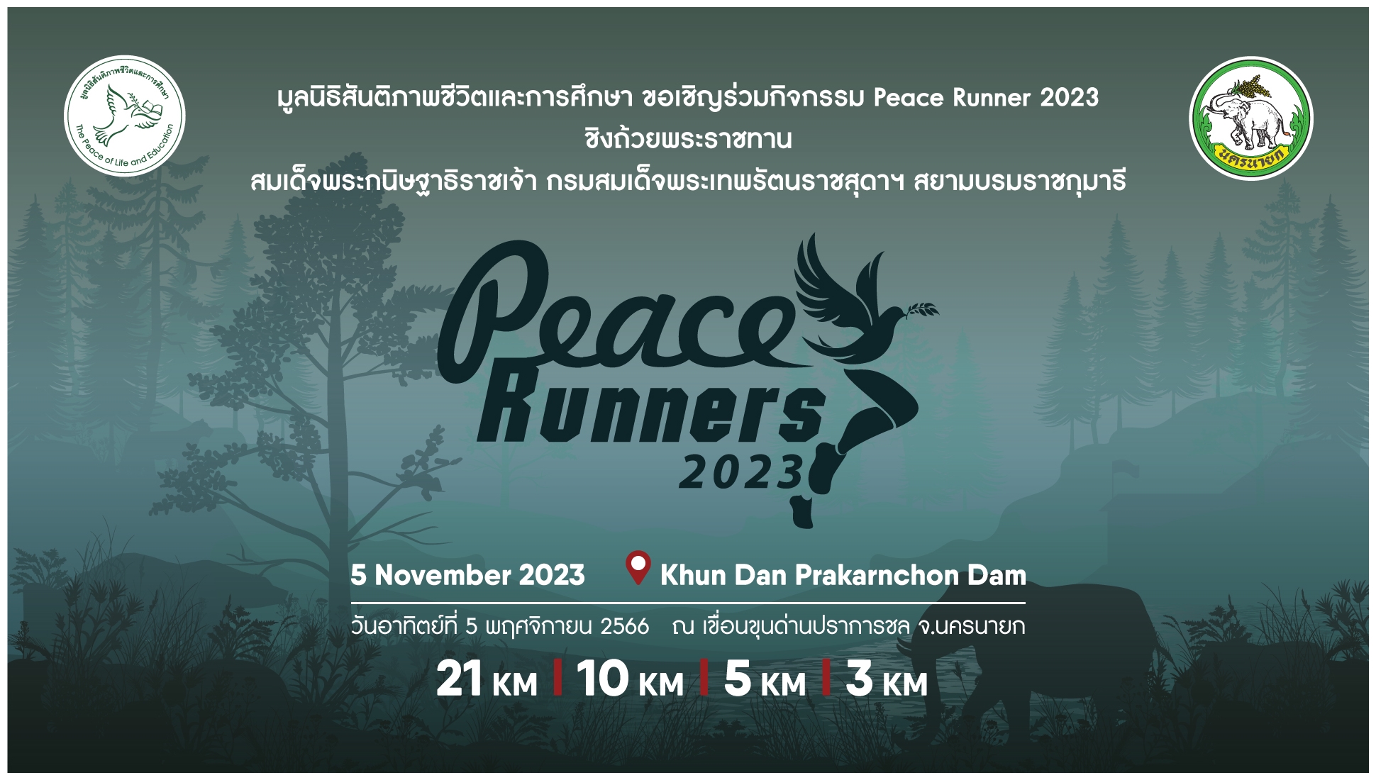 STR - Shutterrunning (2014)